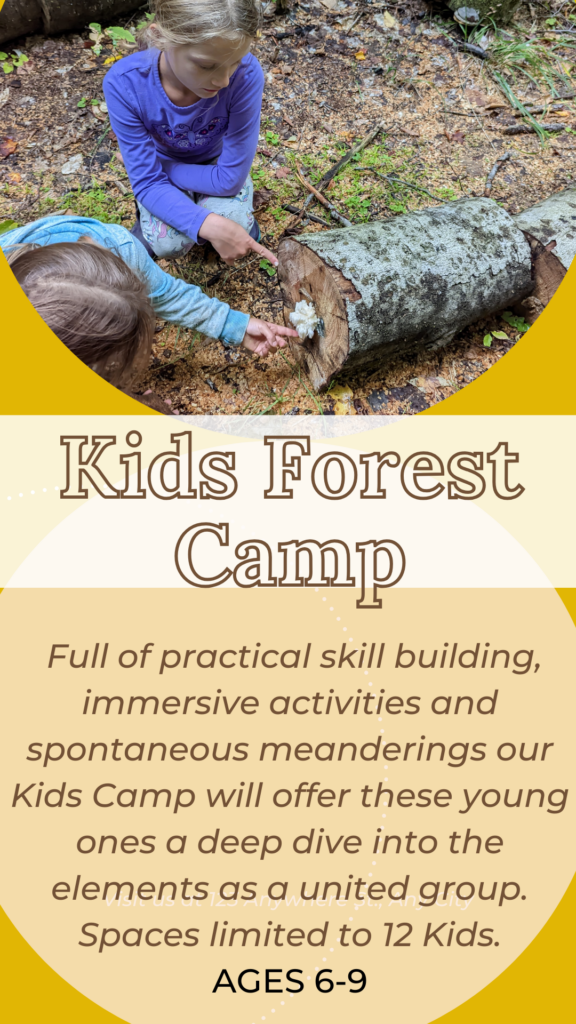 Kids Forest Camp - Coyote Tales Farm Studios